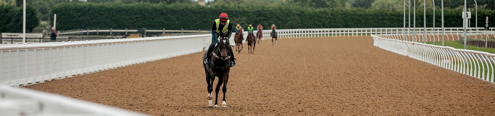 Cambridge Facilities - Waikato Thoroughbred Racing